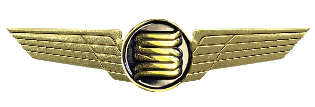 Custom Made High Pilot Wing 3 – MetalXCustom