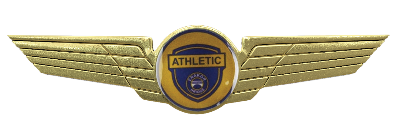 Custom Made High Pilot Wing 3 – MetalXCustom